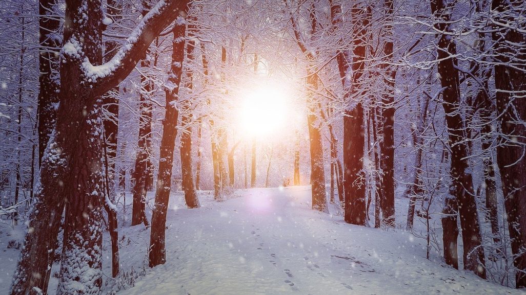 Winter Solstice Reflections - Sacred Earth